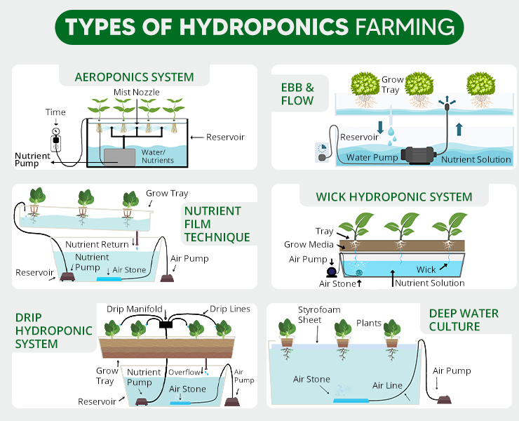 Diagram Of Modern Farming Methods